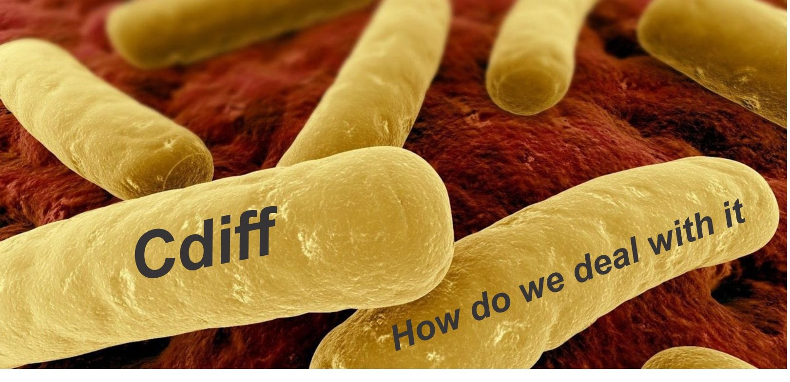 Cdiff How Do We Deal With It BioShine Inc 